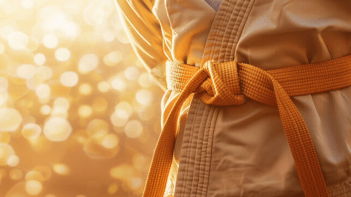 What to Expect When Your Child Reaches Their Next Belt – Kaizen Black ...